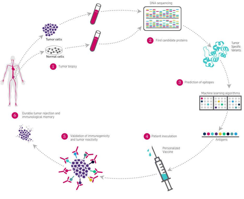Tumor Antigen Discovery | Parker Institute for Cancer Immunotherapy Tumor Antigen Discovery | Parker Institute for Cancer Immunotherapy