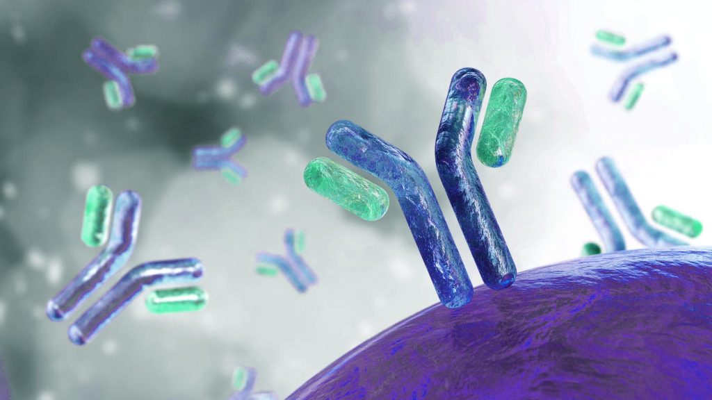 PICI Takes On Prostate Cancer: A Q&A with the Experts - Parker ...